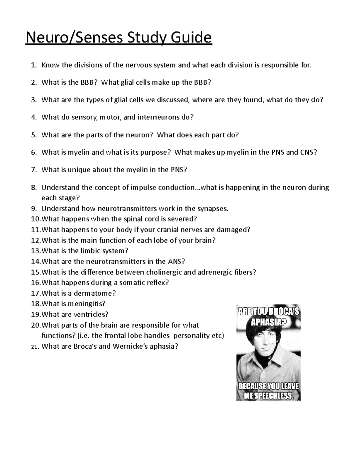 Neuro Study Guide - Know the divisions of the nervous system and what ...