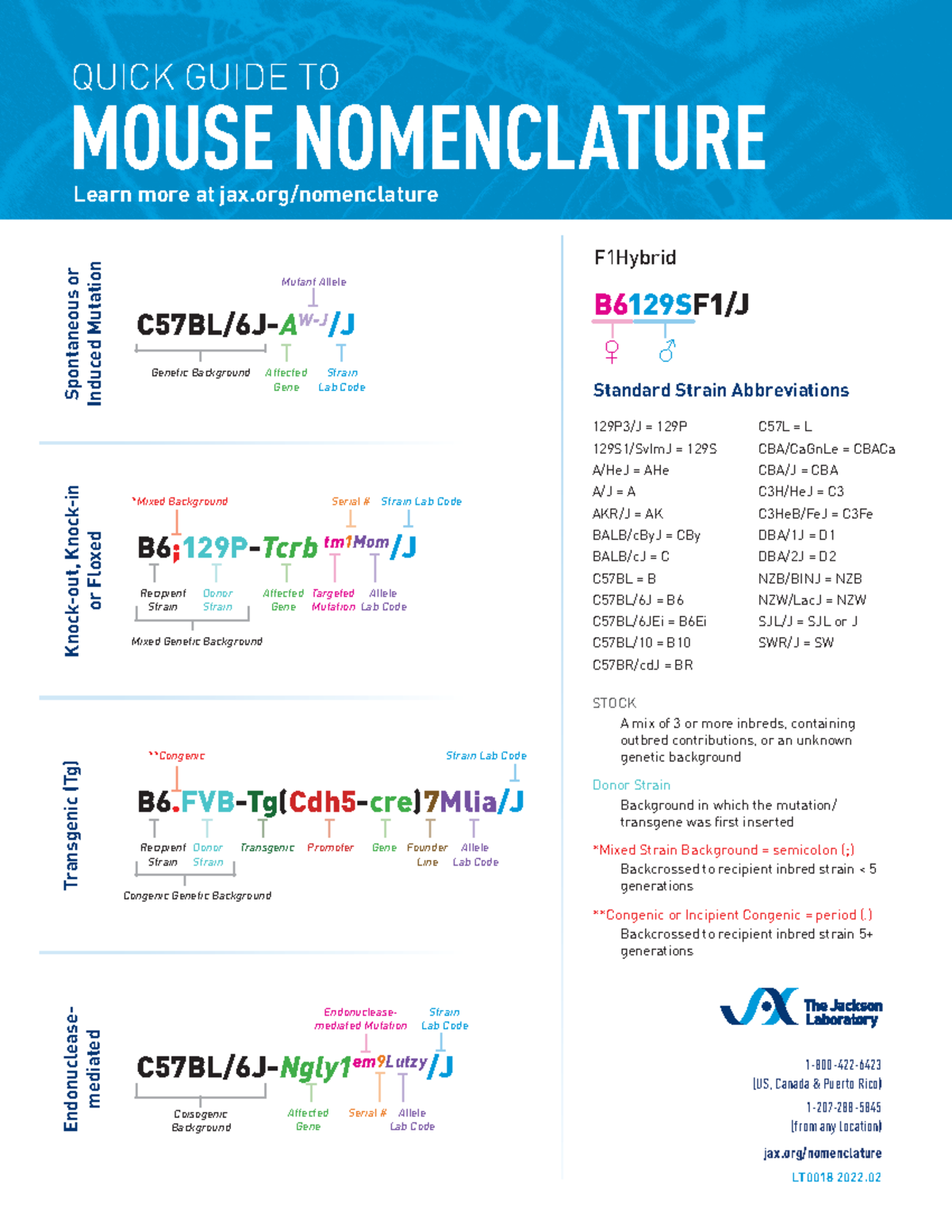 JAX quick guide to mouse nomenclature v2 - LT0018 2022. ####### 1-800 ...