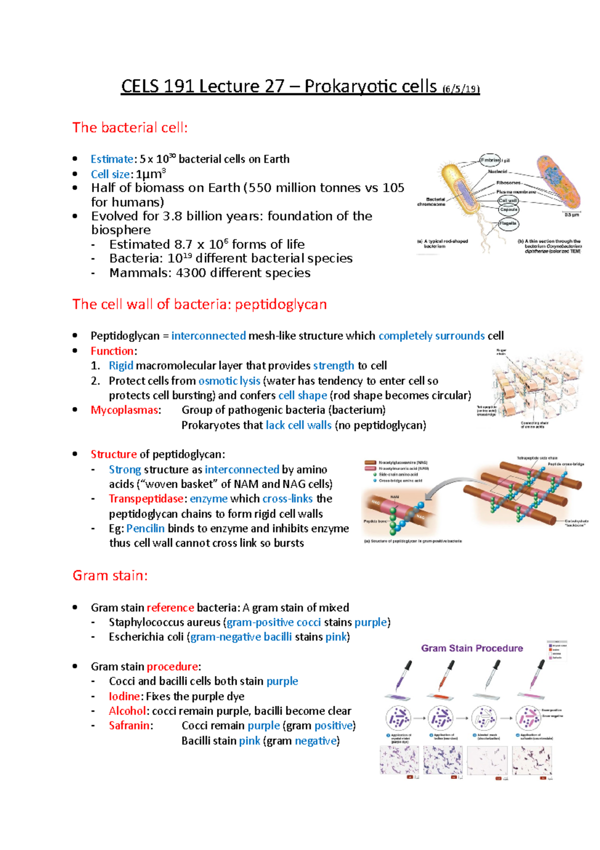 CELS 191 Lecture 27 - CELS 191 Lecture 27 – Prokaryotic cells (6/5/19 ...