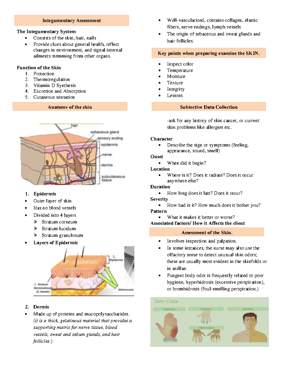 The Integumentary Sytem Week 4 - The Integumentary System Consists of ...