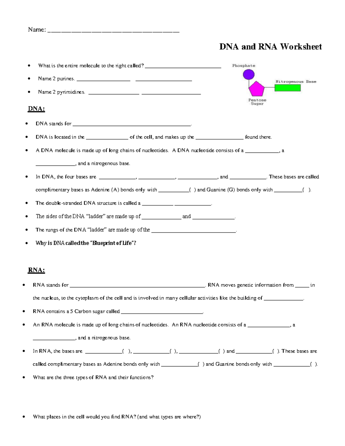 DNA and RNA handout - Study and test your knowledge with these DNA and ...
