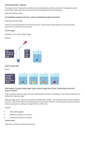 Cie igcse biology 0610 znotes - TABLE OF CONTENTS 3 CHAPTER 1 ...