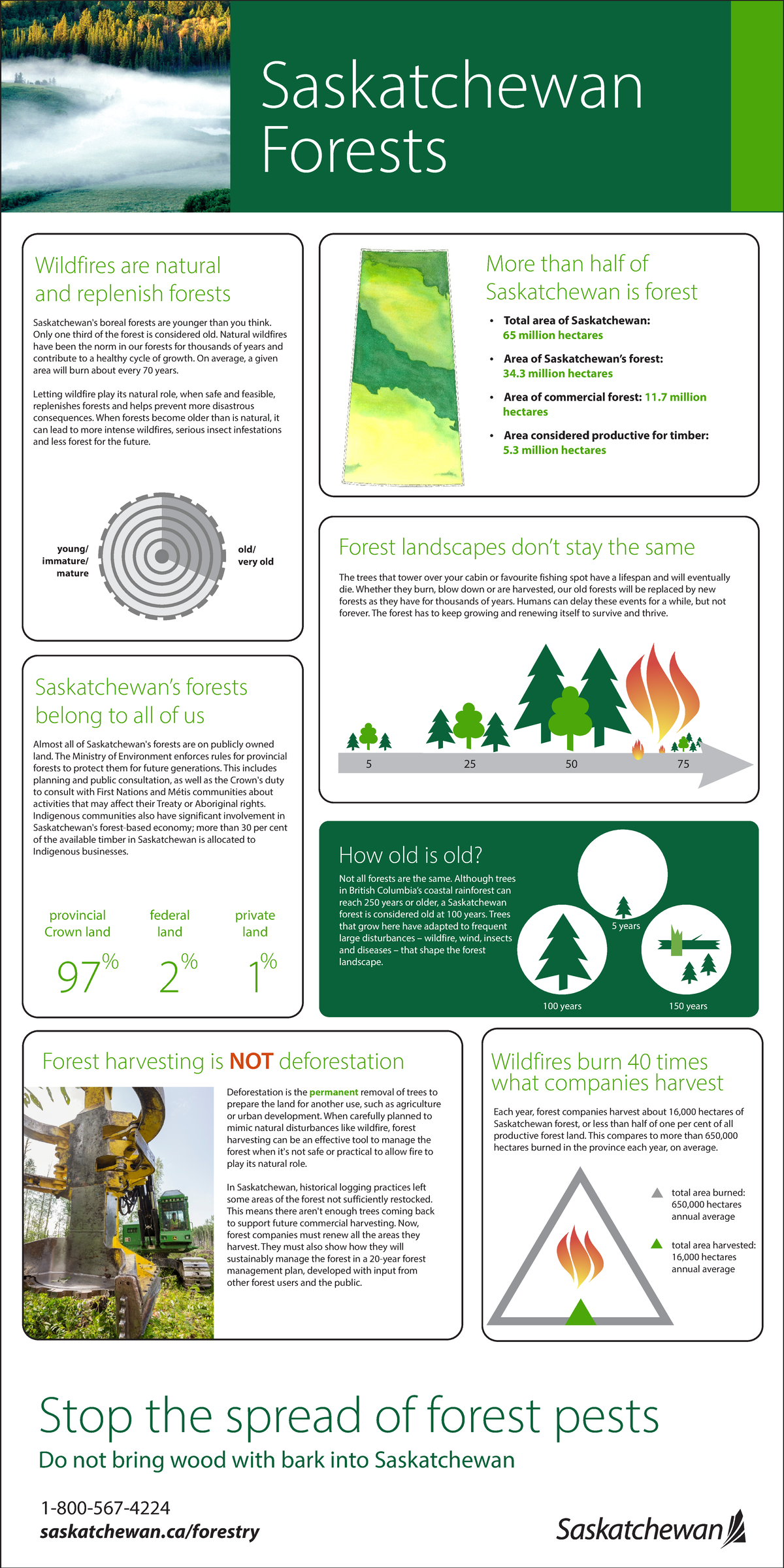 Forest%2Binfographic - Ÿ Total area of Saskatchewan: 65 million ...