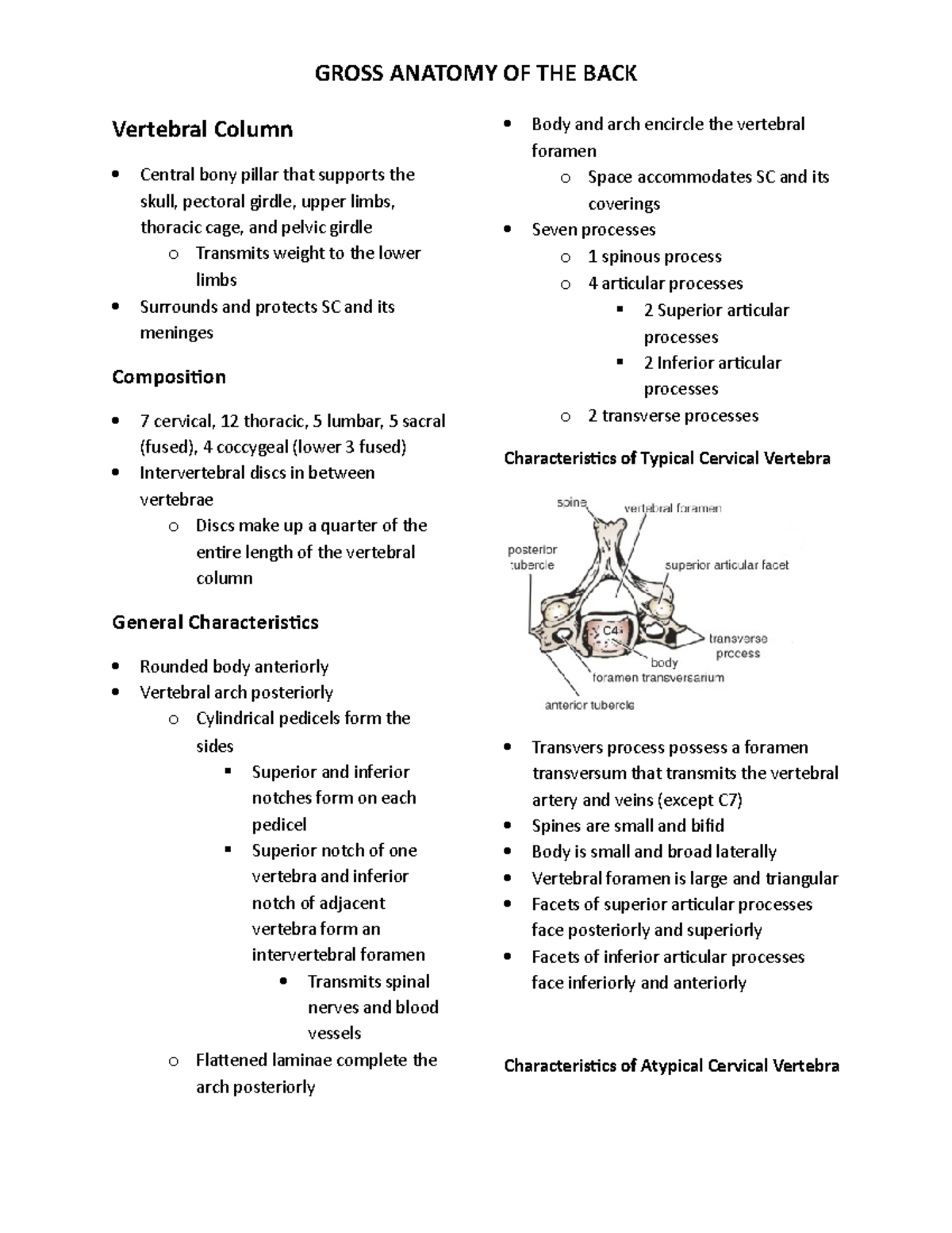 GA 01-12-2021 Gross Anatomy OF BACK Outline - Vertebral Column Central ...