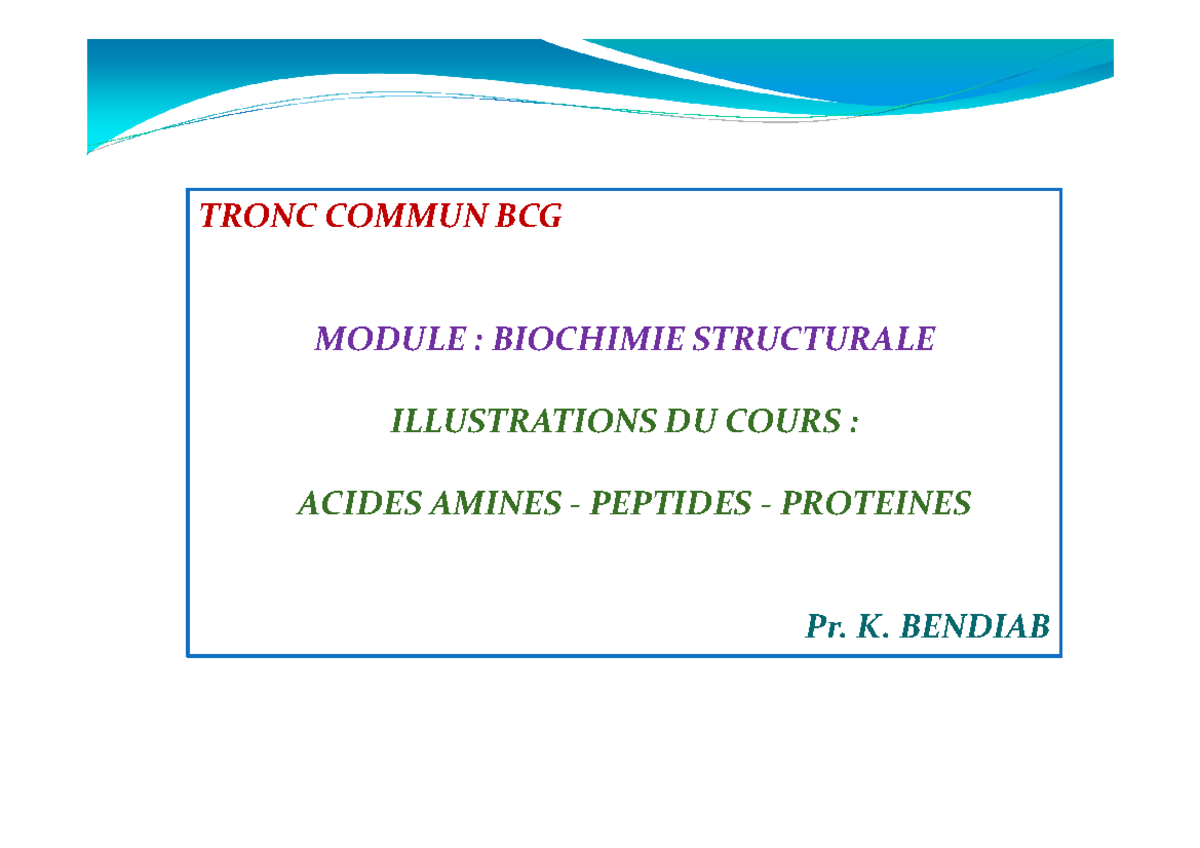 BIOCHIMIE STRUCTURALE Ac Aminés - TRONC COMMUN BCG MODULE : BIOCHIMIE ...