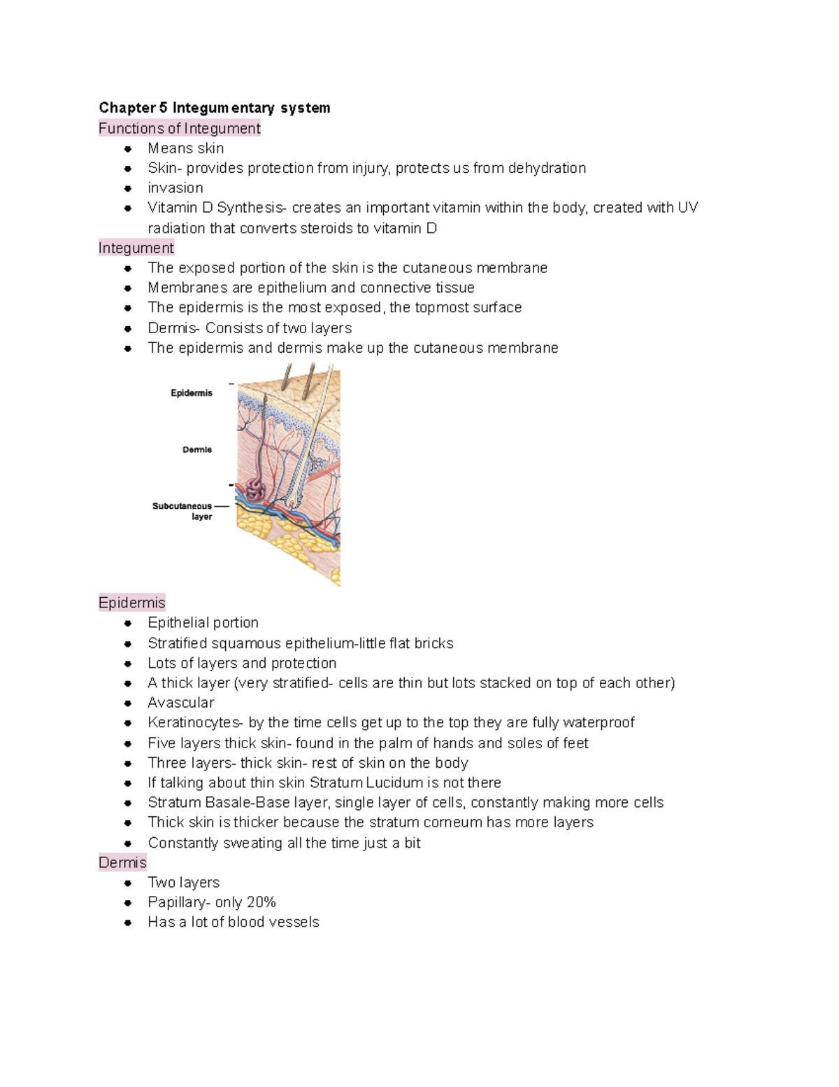 anatomy and physiology - Chapter 5 Integumentary system Functions of ...