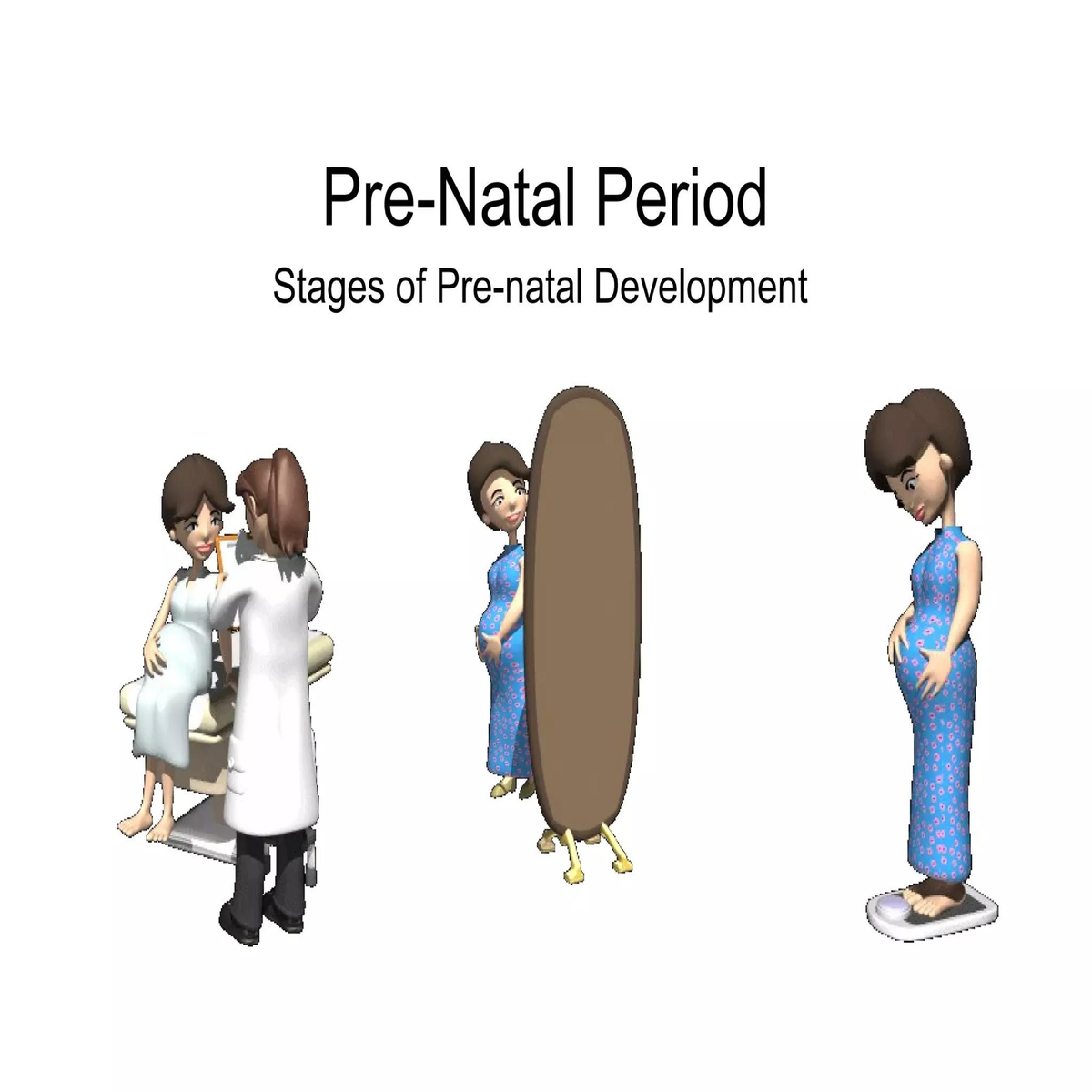 2. Pre-Natal Period - Developmental Psychology - Period Stages of ...