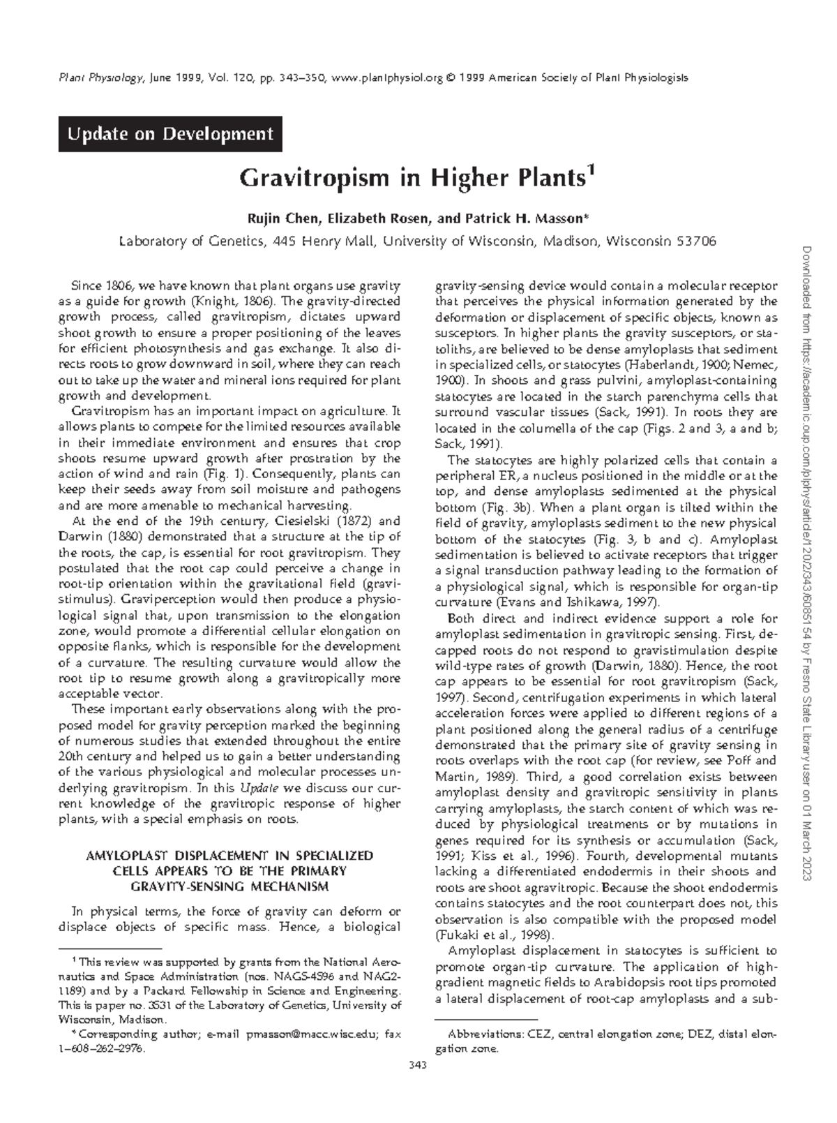 Plphys v120 2 343 - science - Update on Development Gravitropism in ...