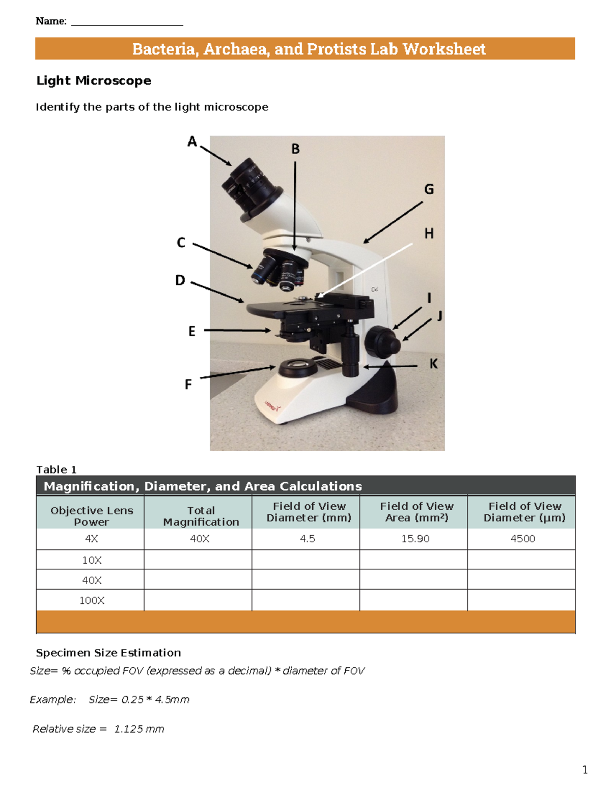 Bio182-02.01-worksheet Bacteria Protists - Bacteria, Archaea, and ...