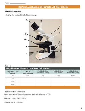 BIO 182 Lab Report Template S24 - - Studocu