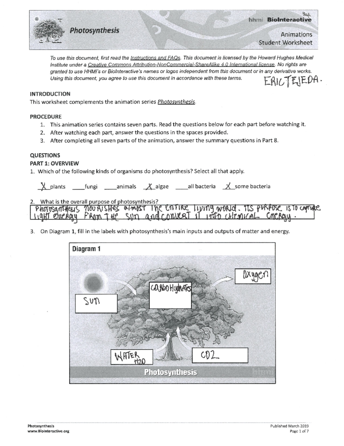 Photosynthesis Complete - hhmi BioInteractive Photosynthesis Animations ...