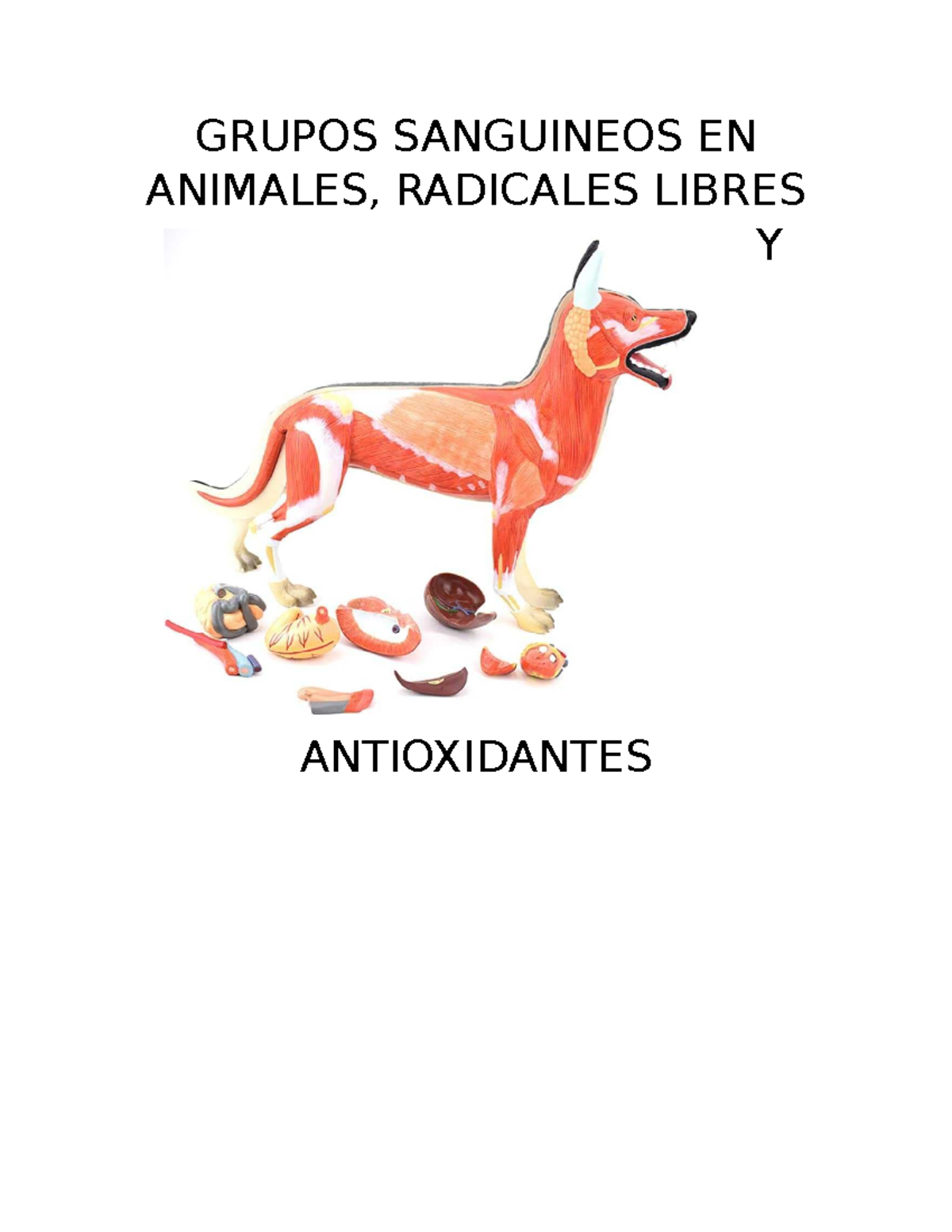 Grupos Sanguineos EN Animales-Mariluz Yana - GRUPOS SANGUINEOS EN ...