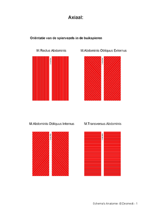 Anatomie wpo - Delen van het menselijk lichaam aangeduid - Atrium ...