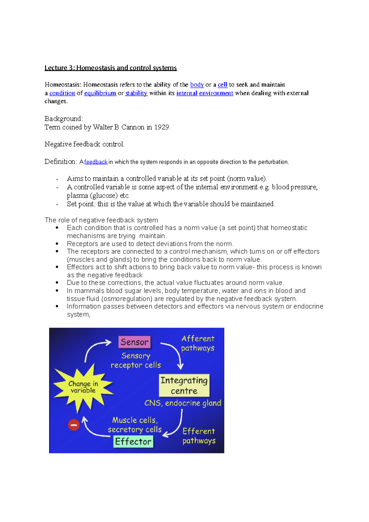Lecture 3 homeostasis and control systems - Lecture 3: Homeostasis and ...