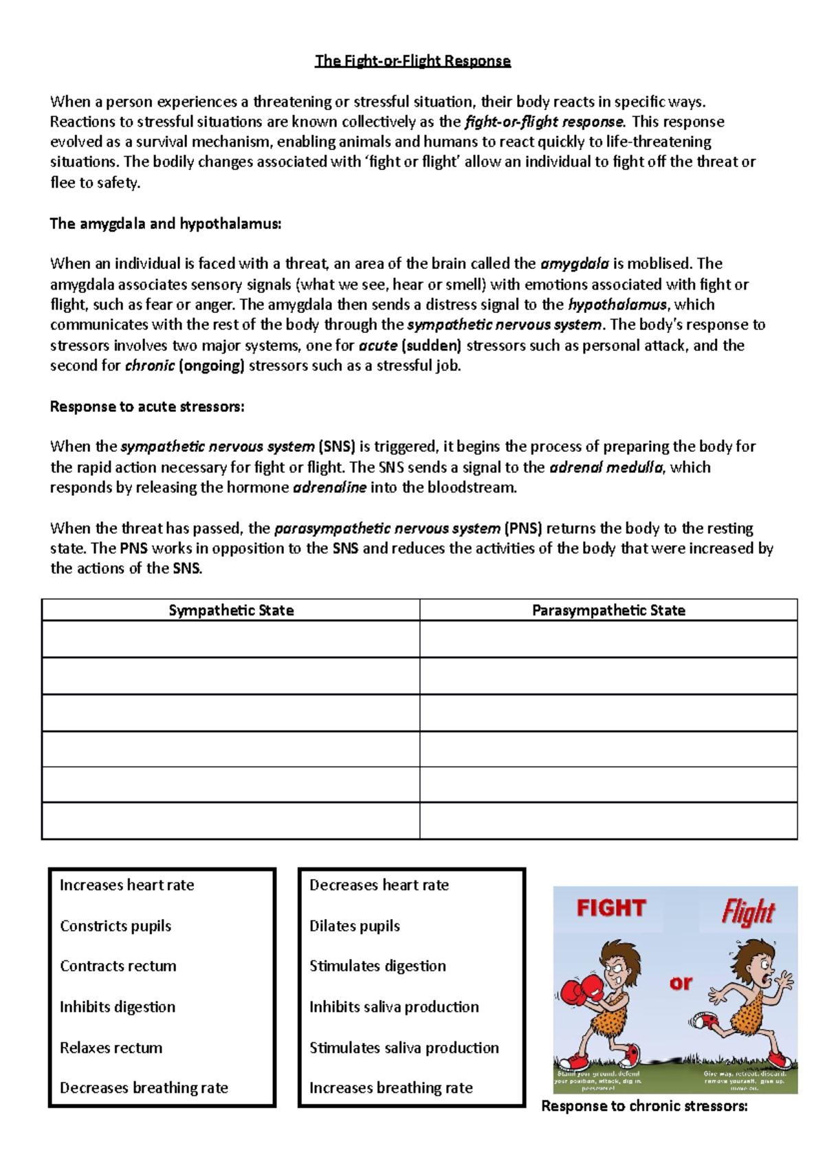The Fight-or- Flight Response handout - The Fight-or-Flight Response ...