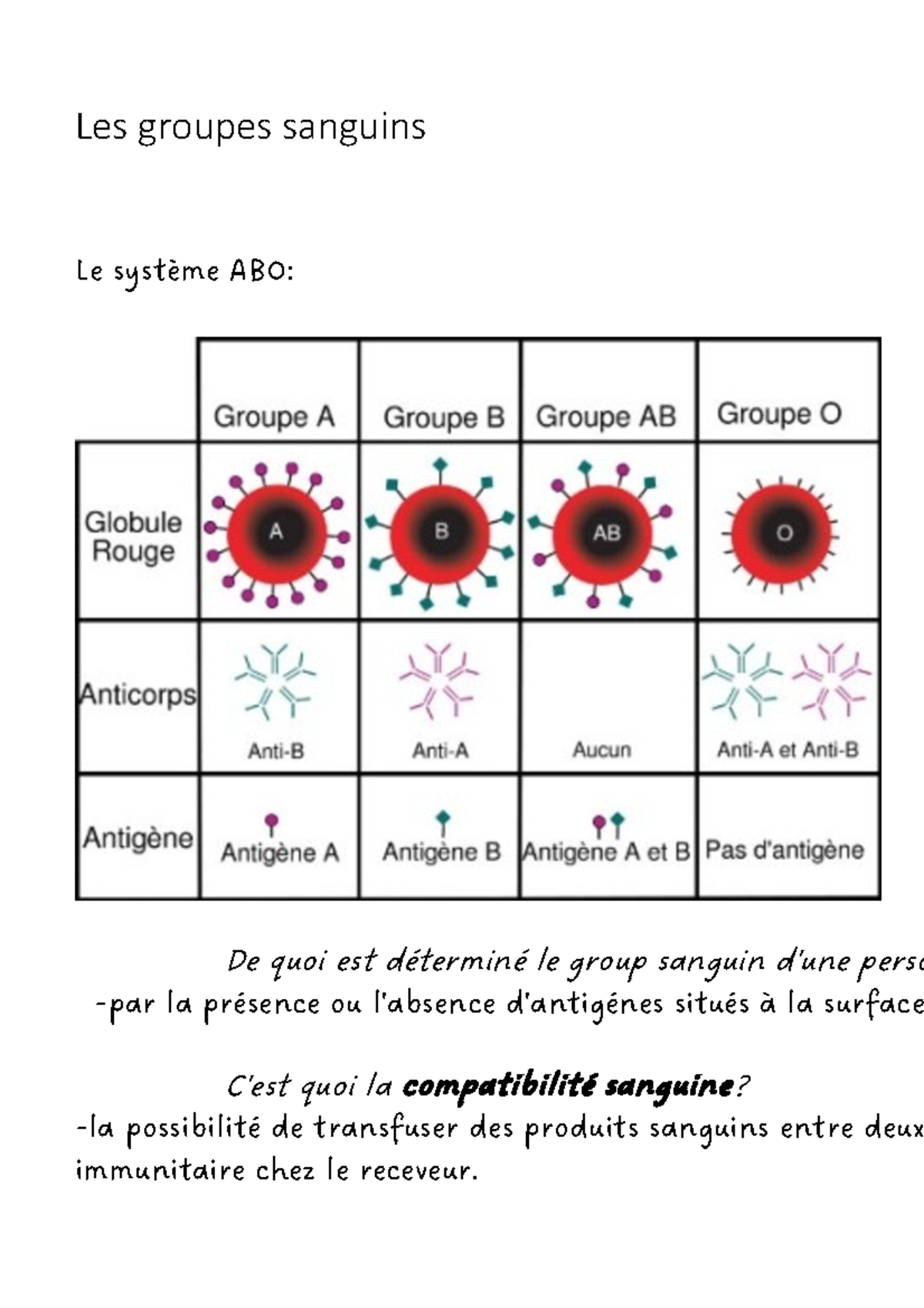 Les groupes sanguins - Une des thèmes les plus importantes du 5ème ...