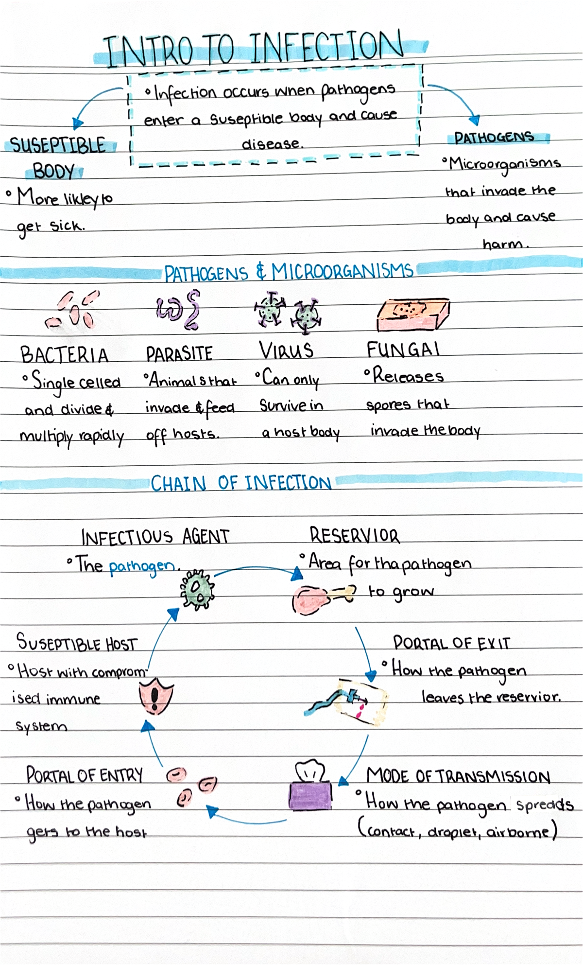 Intro TO Infection - HLTINF006 - INTRO TO INFECTION Infection occurs ...