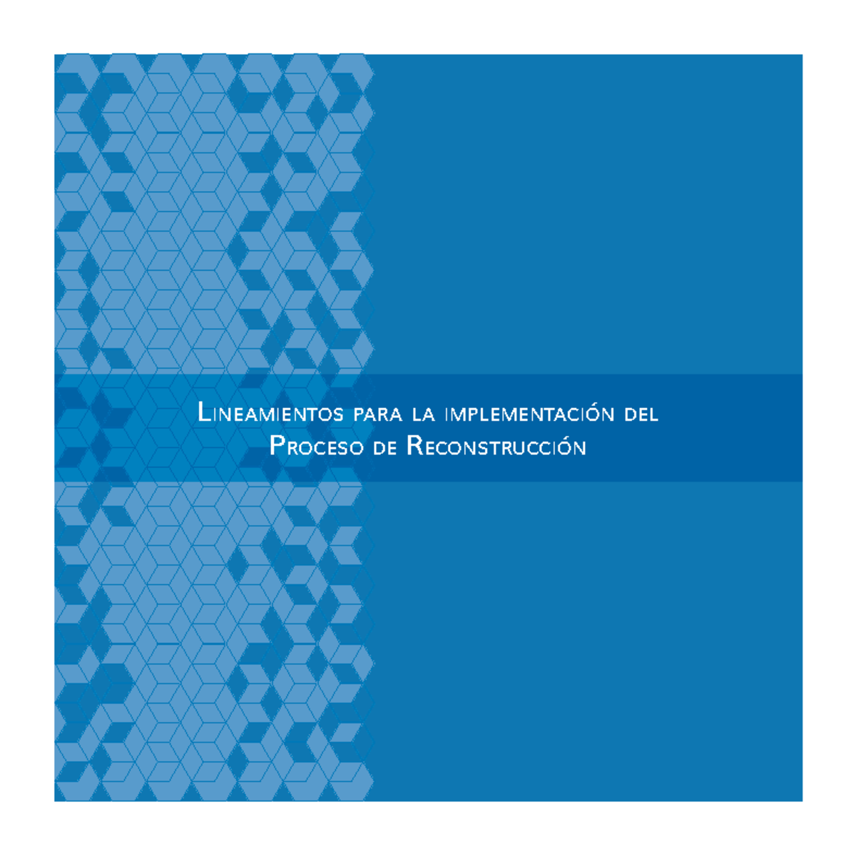 Lineamientos Procesos Reconstrucción - Lineamientos Para La