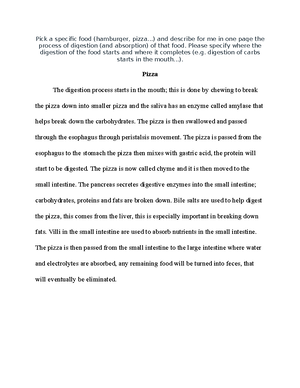 Ap2 ex 26 urinary system - Anatomy and Physiology II Lab Handout ...