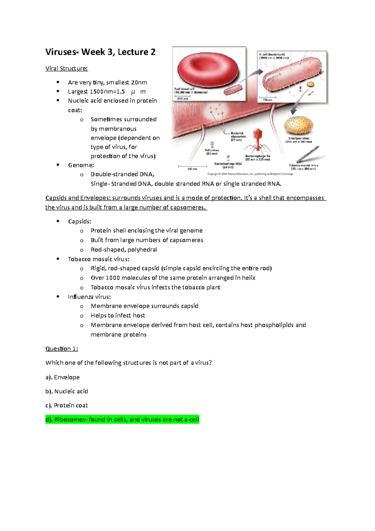 Molecular Basis of Life- Week 3, Lecture 2 - Viruses- Week 3, Lecture 2 ...