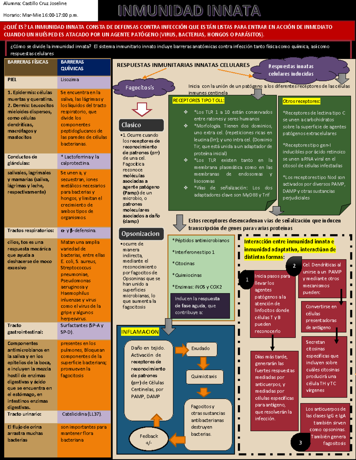 Inmunidad Innata - ¿QUÉ ES? LA INMUNIDAD INNATA CONSTA DE DEFENSAS ...