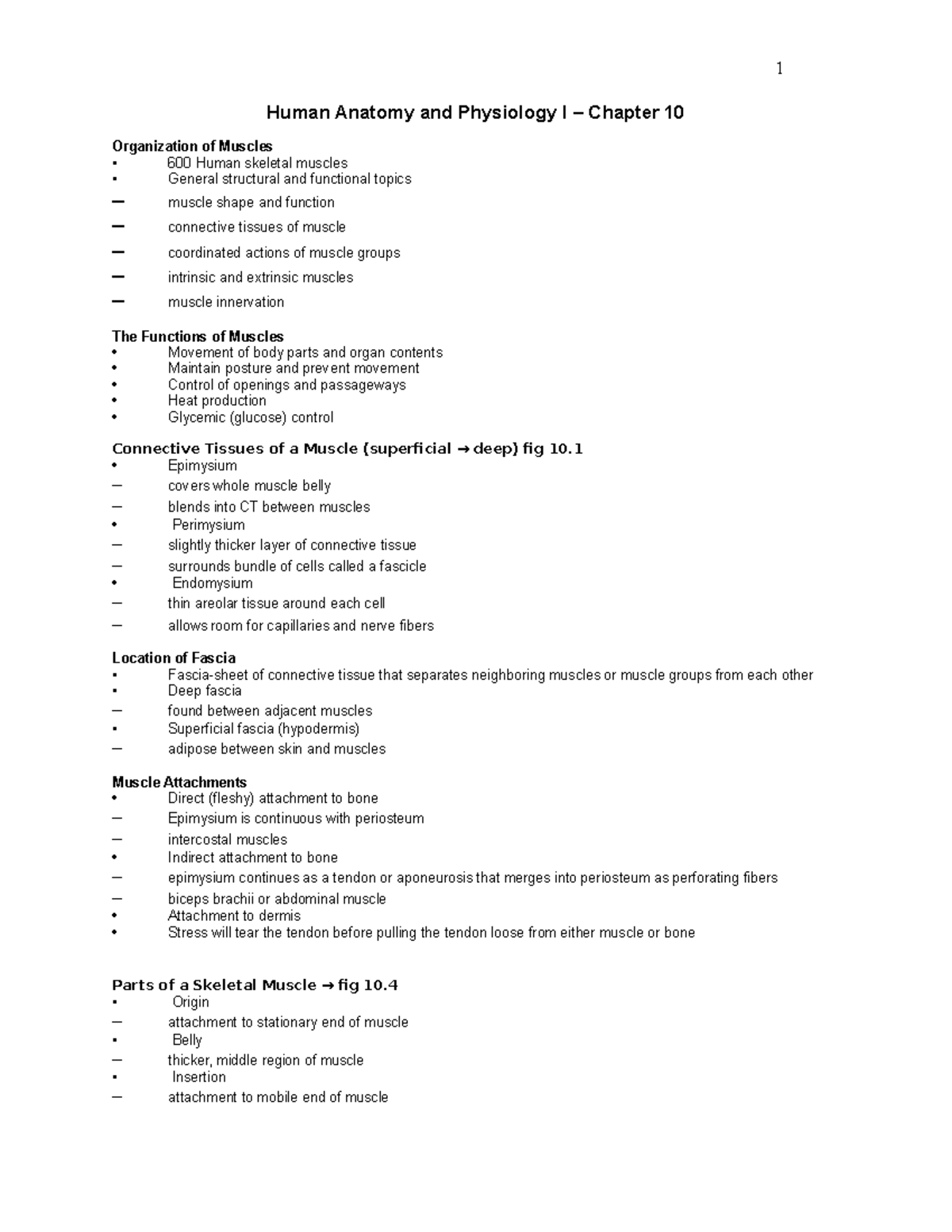 Ch. 10 - Lecture notes from Human A&P 1 for Allied Health with Mollie ...