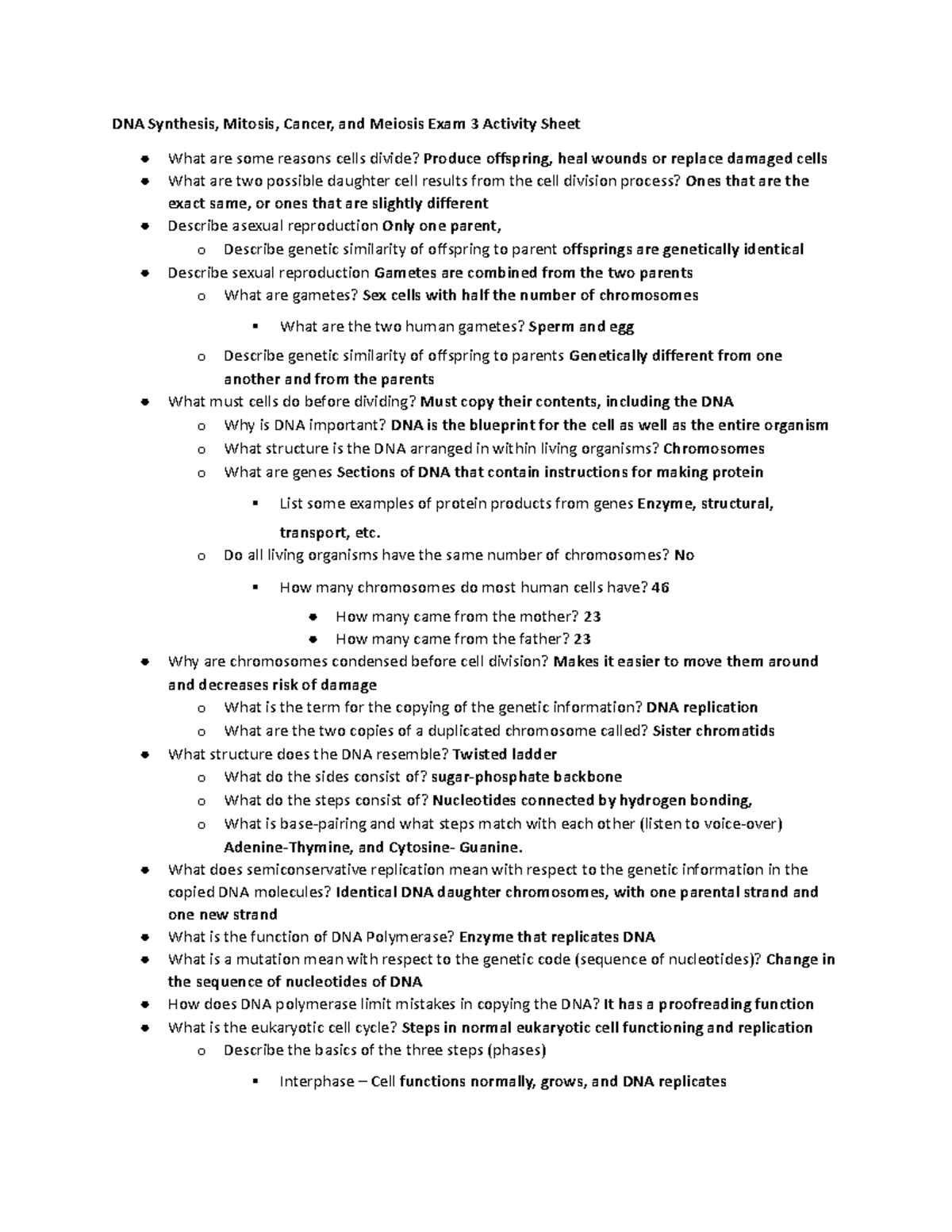 Activity Sheet DNA Synth, Mitosis, Cancer, Meiosis Exam 3 Content - DNA ...