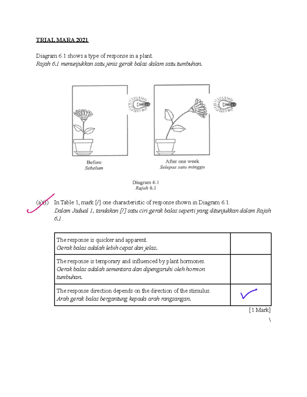 2. [Q] LEAF Structure & Function-1 Vm M - TRIAL MARA 2021 Diagram 6 shows a type of response in ...
