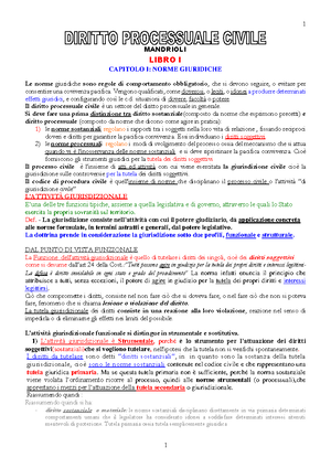 Riassunti Procedura Civile Mandrioli - DIRITTO PROCESSUALE CIVILE LIBRO NOZIONI INTRODUTTIVE ...