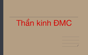 Inbound 3940477146549134718 - Bộ môn: Giải phẫu Giải phẫu - Đầu Mặt Cổ Ngày thi: 27/11/2023 RHM ...