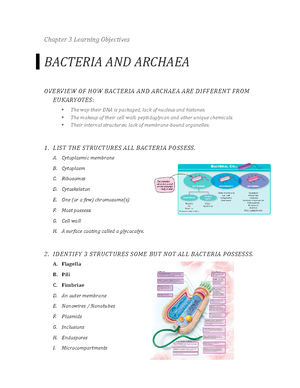 BIOL 440 Chapter 5 Learning Objectives - Chapter 5 Learning Objectives VIRUSES AND PRIONS 1 ...
