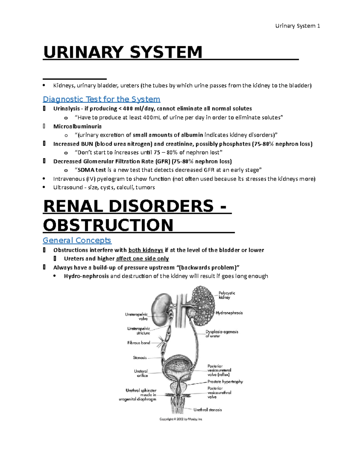 2016-Pathophysiology(BIO307)-Urinary System - URINARY SYSTEM Kidneys ...