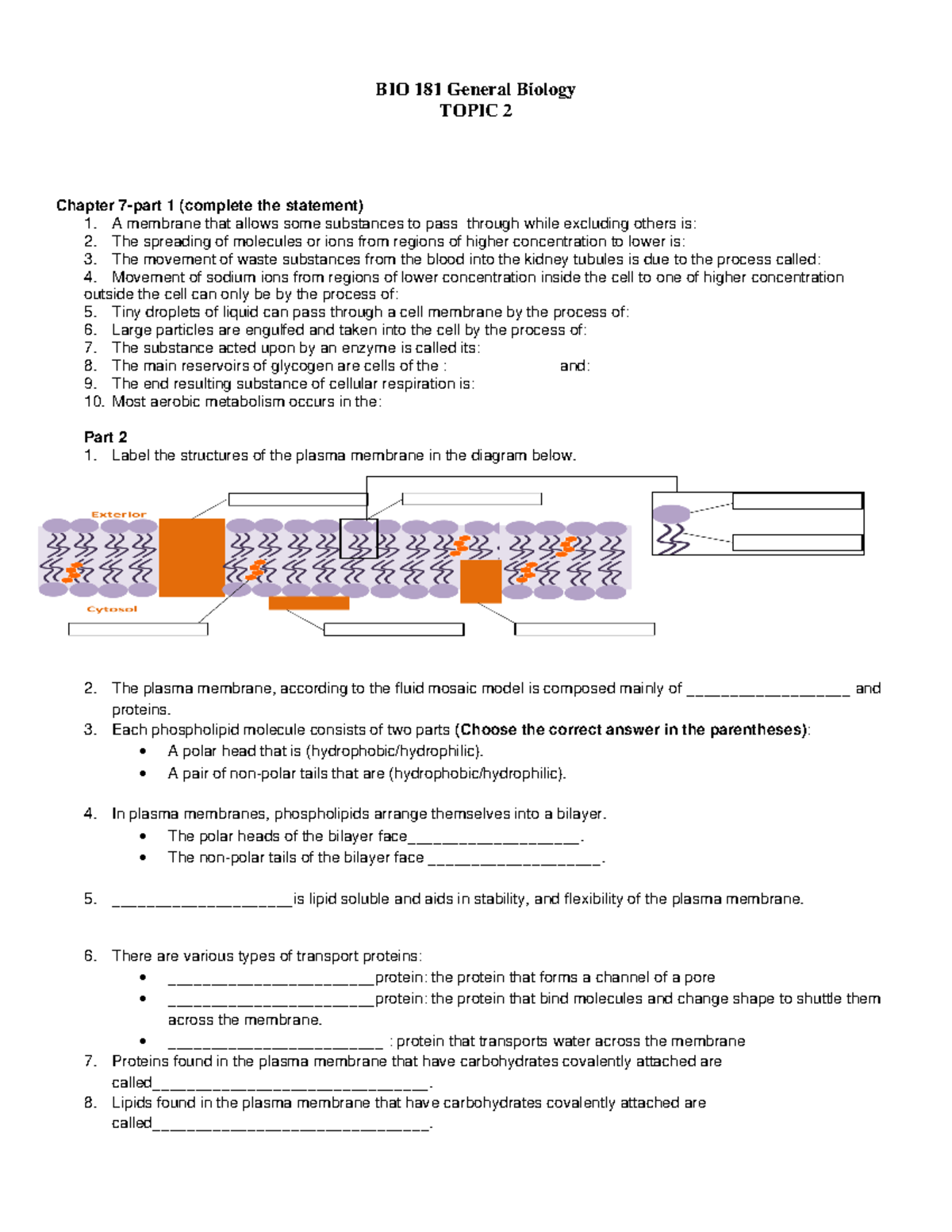 WEEK 4-HW- CH 7 worksheet Neal - BIO 181 General Biology TOPIC 2 Chapter 7-part 1 (complete the ...
