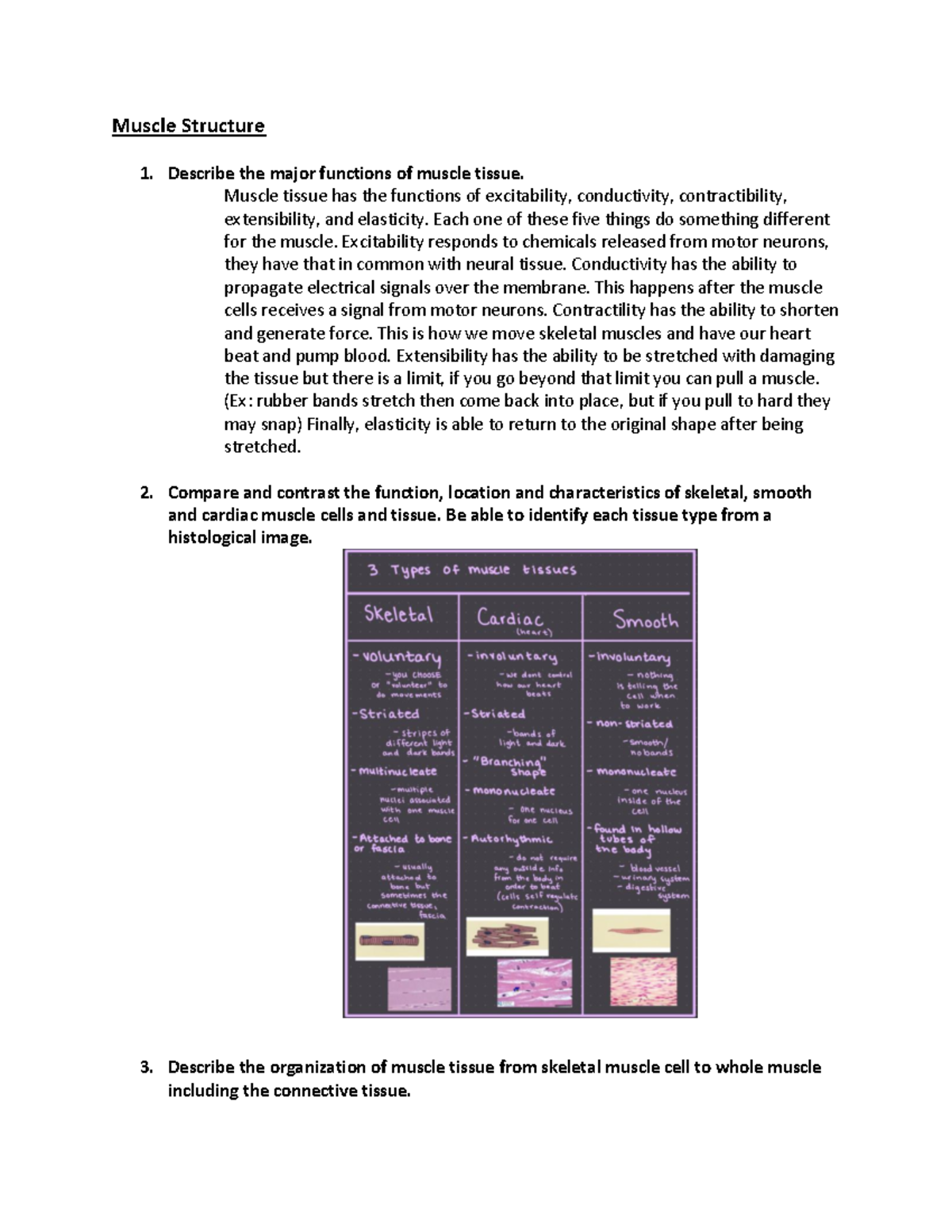 Muscle Structure Exam 4 - Muscle Structure Describe the major functions ...