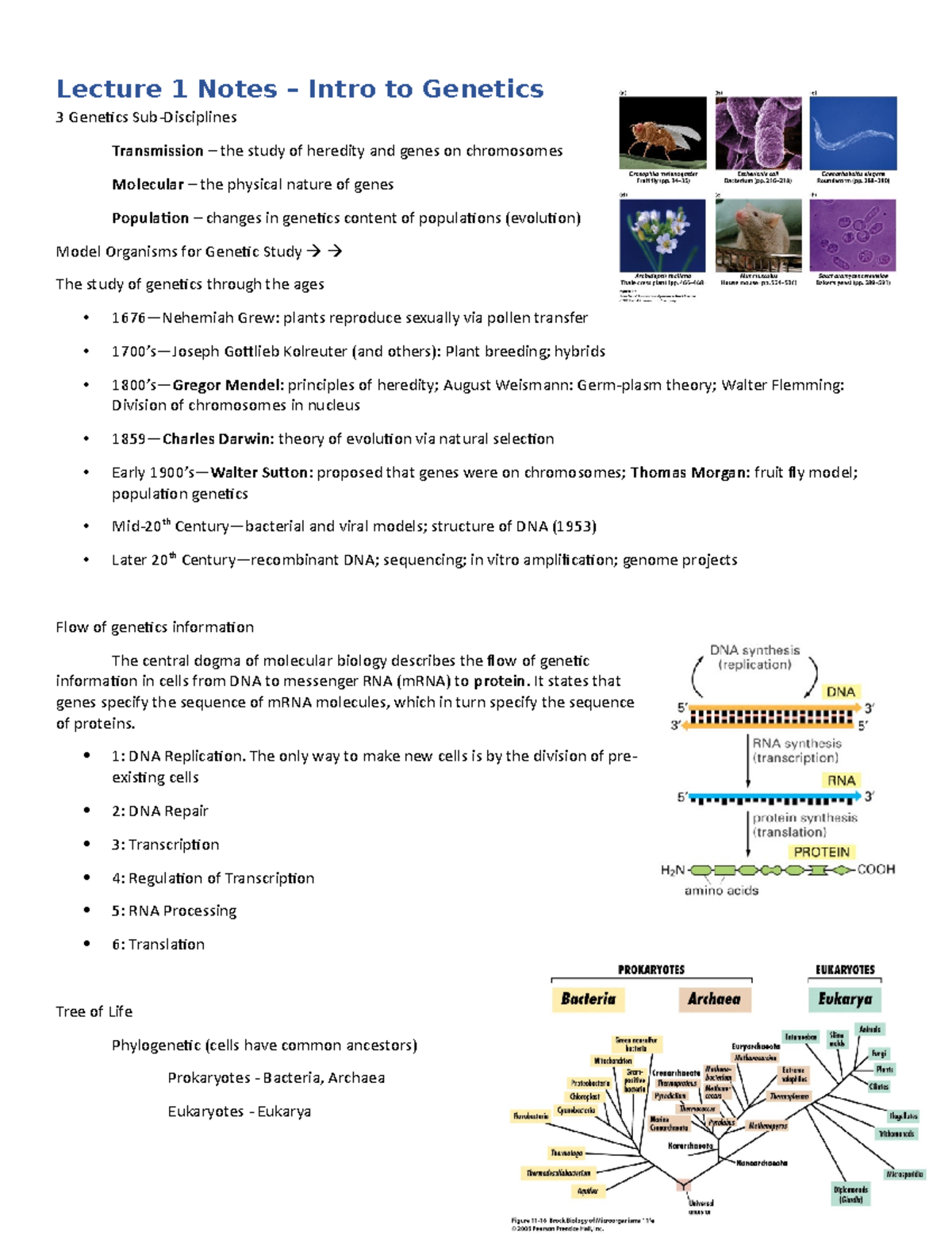 Lecture 1 6 Notes Test 1 Lecture 1 Notes Intro To Genetics 3 5342