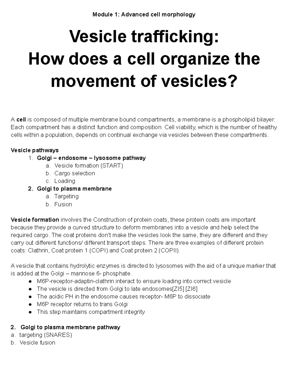 M1 ANAT 332 Notes - Module 1: Advanced cell morphology Vesicle ...