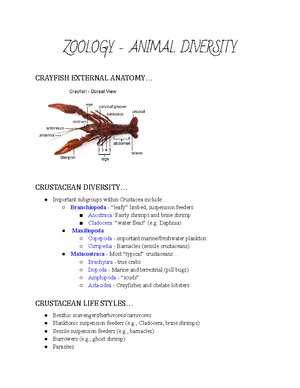 Zoology Notes part 19 - ZOOLOGY - ANIMAL DIVERSITY INTRODUCTION TO ...