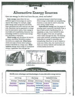 bean- lab renewable and non-renewable resources - Lab Renewable and Non ...