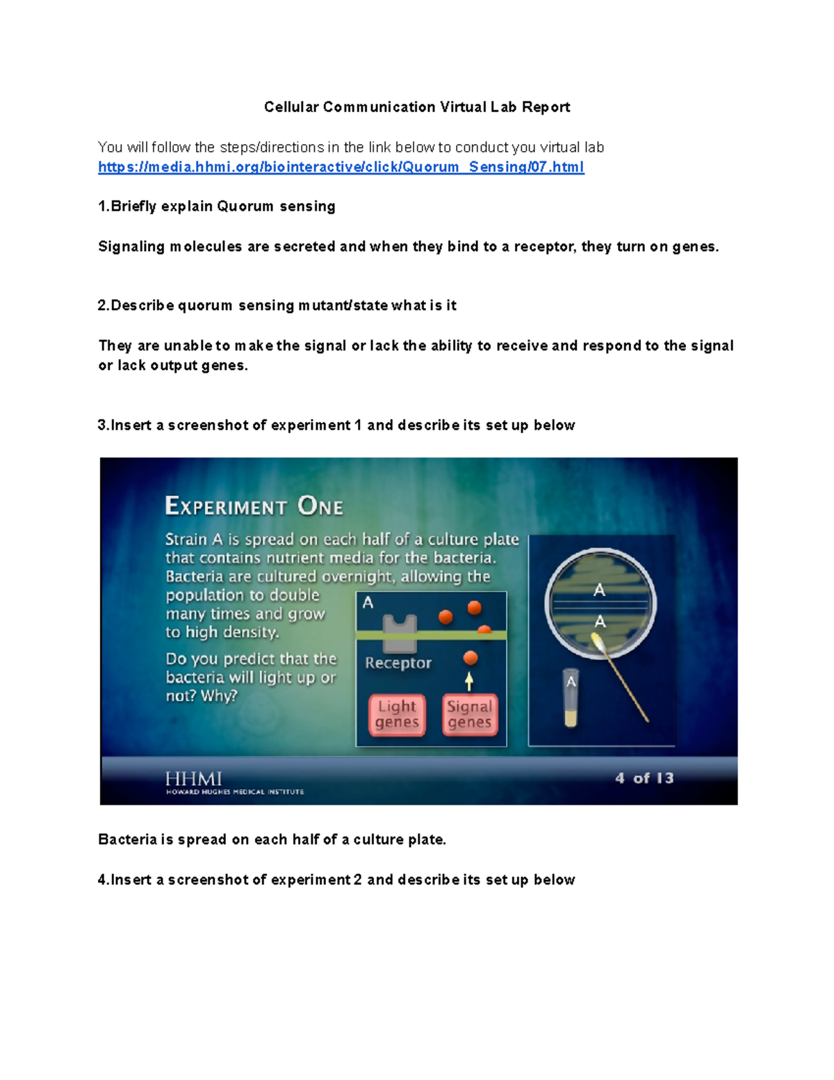Cellular Communication Lab Report - Cellular Communication Virtual Lab ...