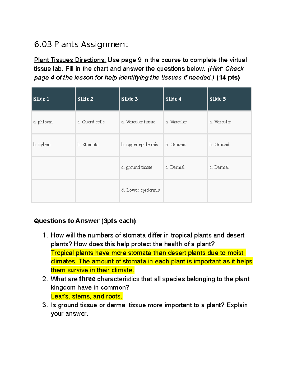 Bio 603 Plants Assignment - 6 Plants Assignment Plant Tissues ...