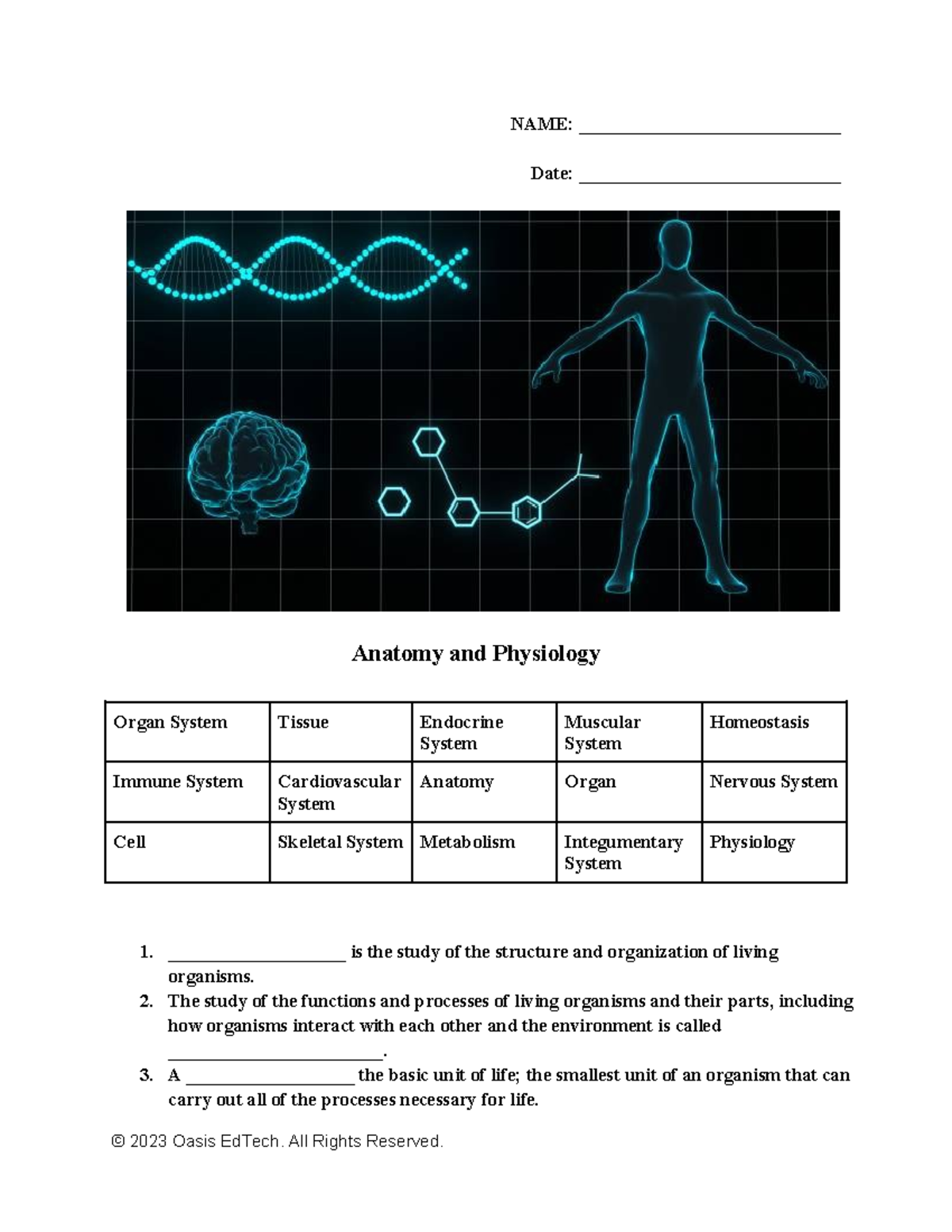 Anatomyand Physiology Vocabulary Quiz Worksheet-1 - NAME ...