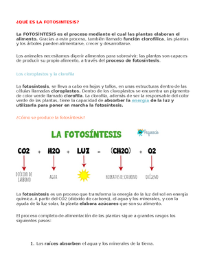 Plantasssss - wazaaaaaaa - Introduccion a las Ciencias Sociales - Studocu