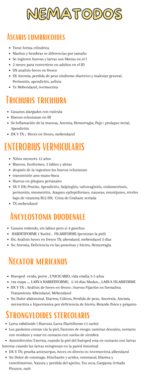 Transcription-Guide - Transcription guide - 1 Guide to Transcribing ...