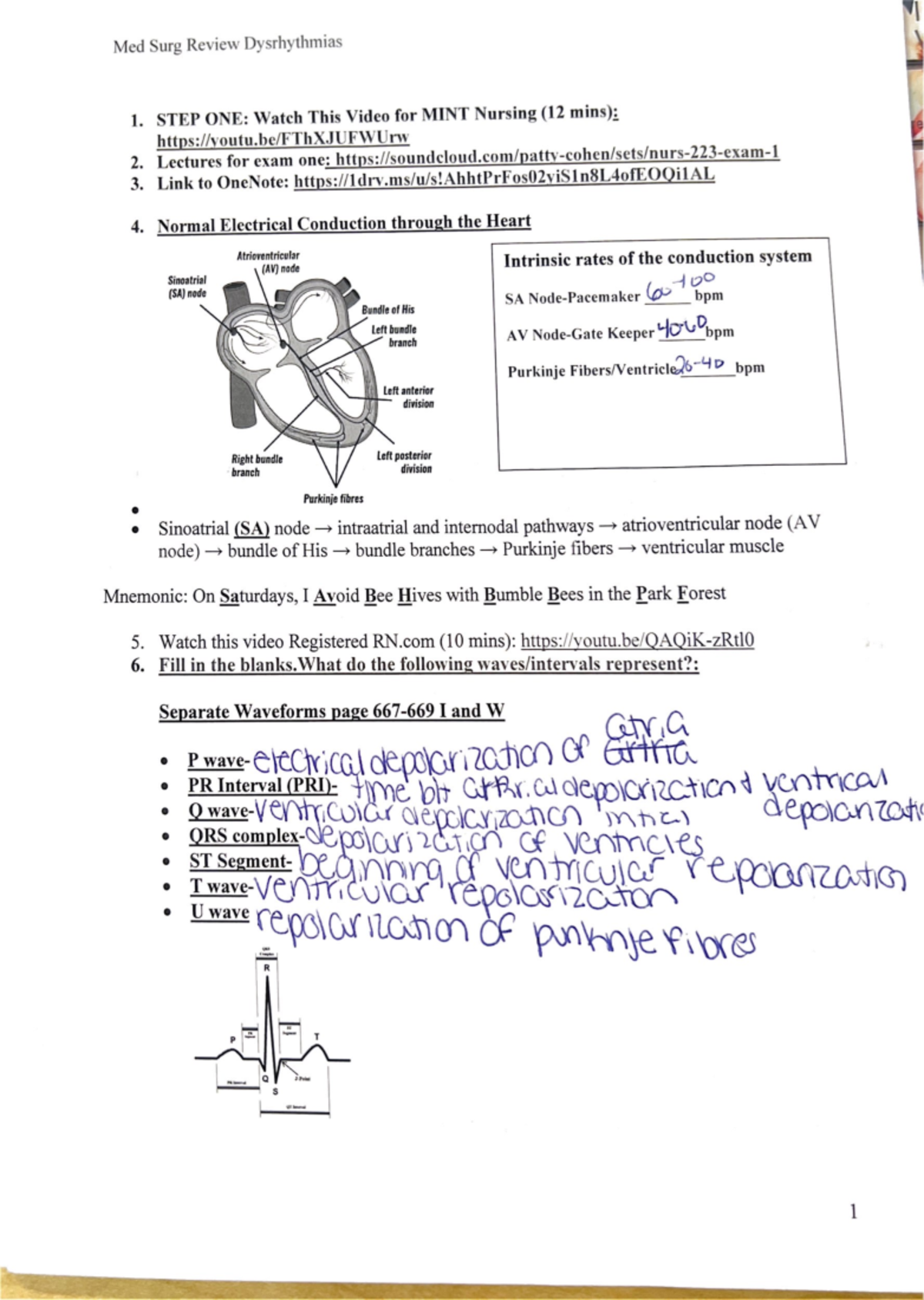 cardic work sheet - Med Surg Review Dysrhythmias 1. STEP ONE: Watch ...