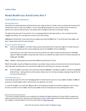 Mental Health George Palo DA - Mental Health Case: George Palo ...