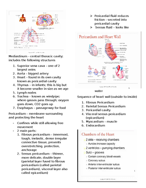 GEN-ANA-NOSE - Anatomy - 1 NOSE consists of the external nose and the ...