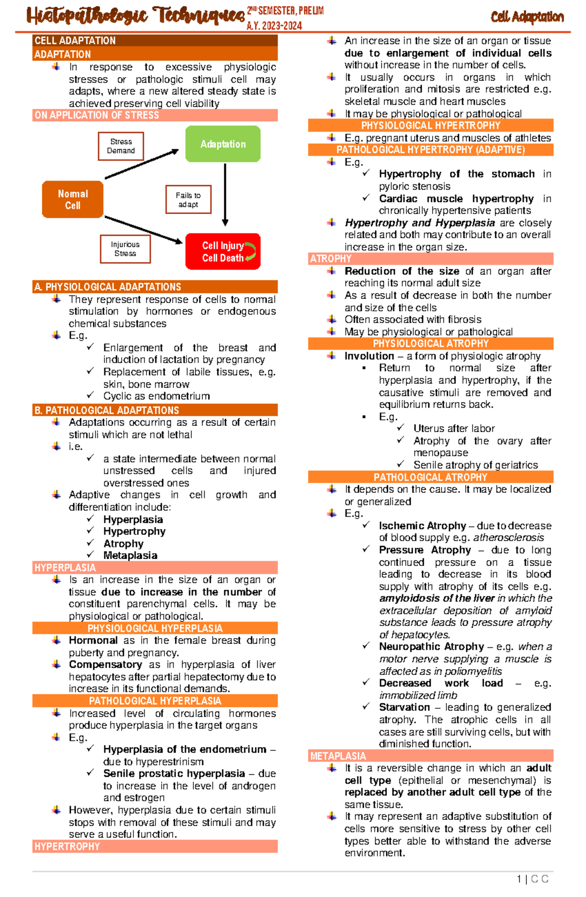 Cell Adaptation - 1 | C C 2 nd semester, Prelim A. 2023- 2024 CELL ...
