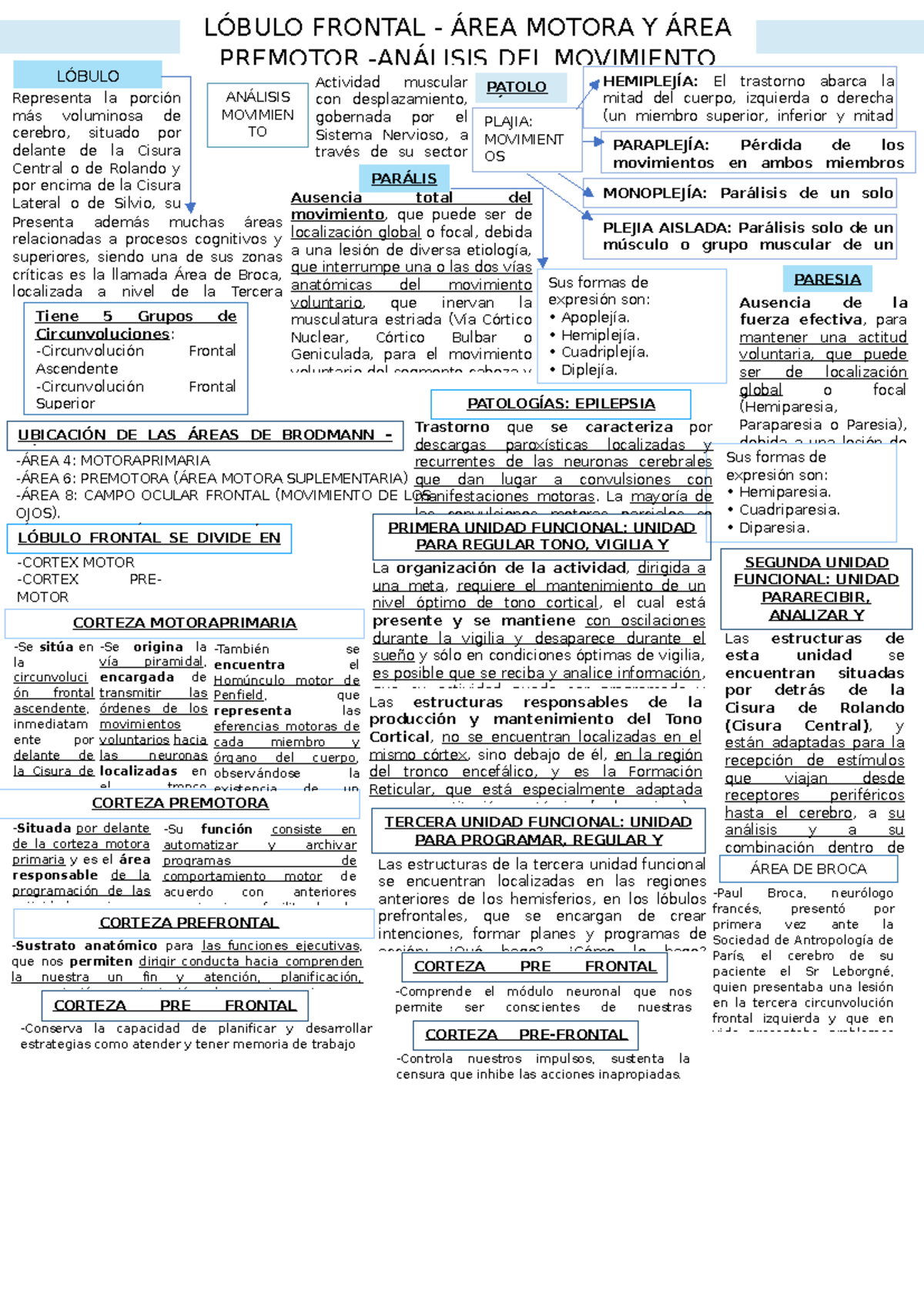 Semana 11 - Lóbulo Frontal - ÁREA Motora Y ÁREA Premotor - Análisis DEL ...