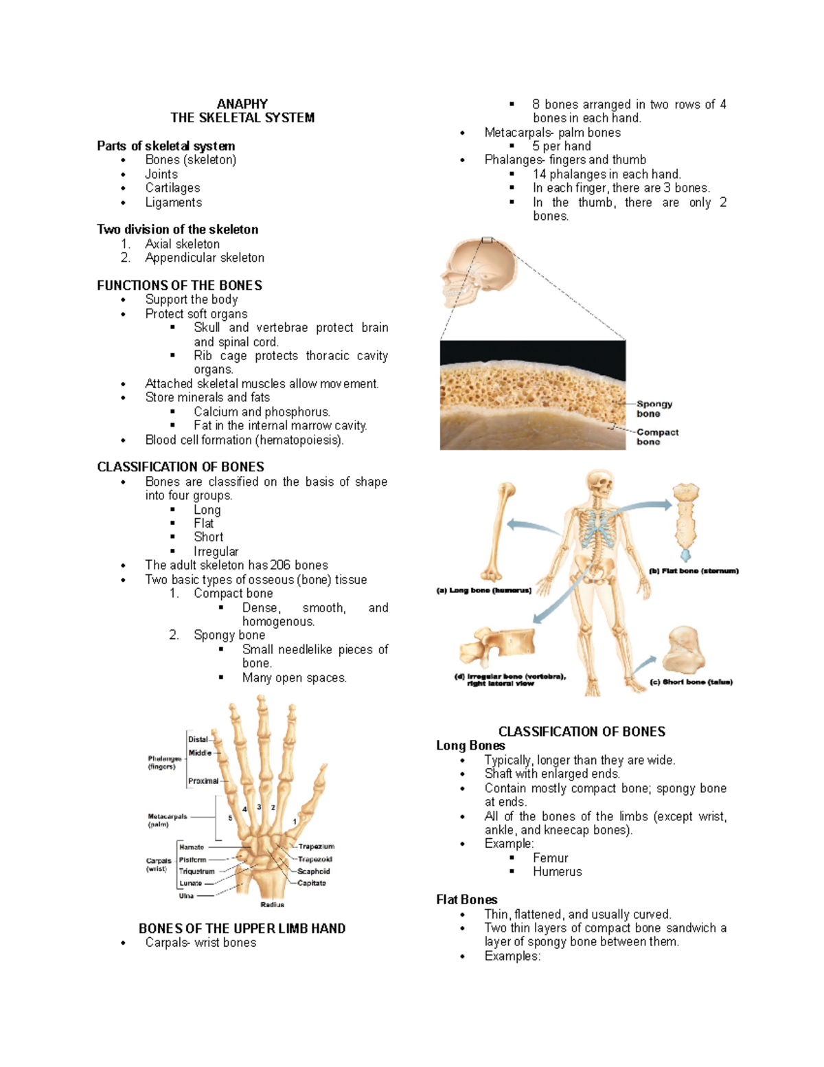 CH5 Skeletal - ANAPHY THE SKELETAL SYSTEM Parts of skeletal system ...