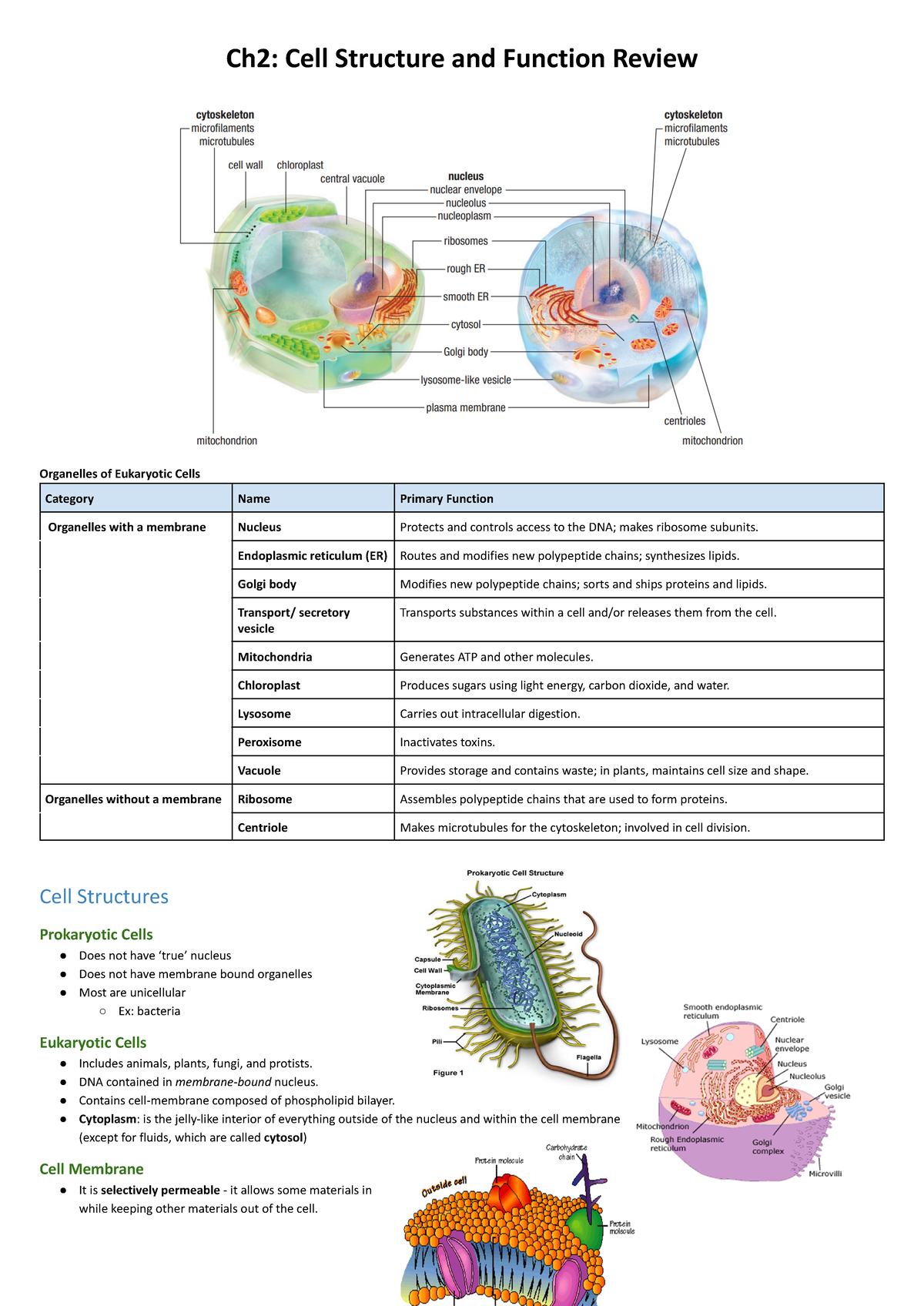 AP Bio Ch2 Cell Structure and Function Review - Ch2: Cell Structure and ...